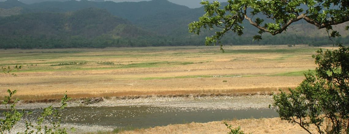 Rajaji National Park - Uttarakhandi